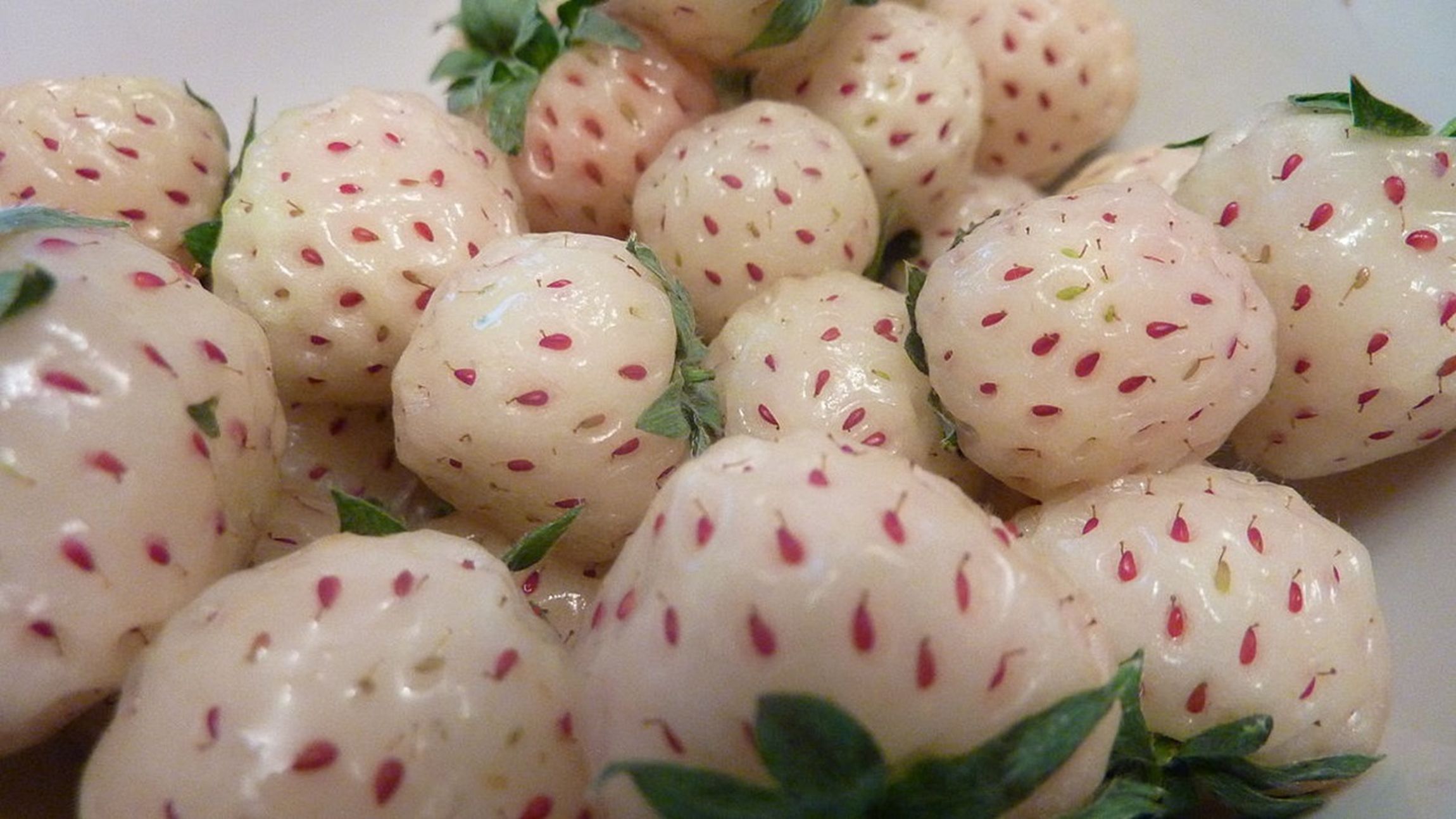 Fragole bianche: sapore e prezzo - Agrodolce