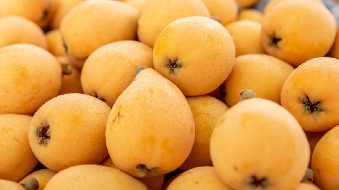 Nespole: proprietà, benefici e usi in cucina - Agrodolce