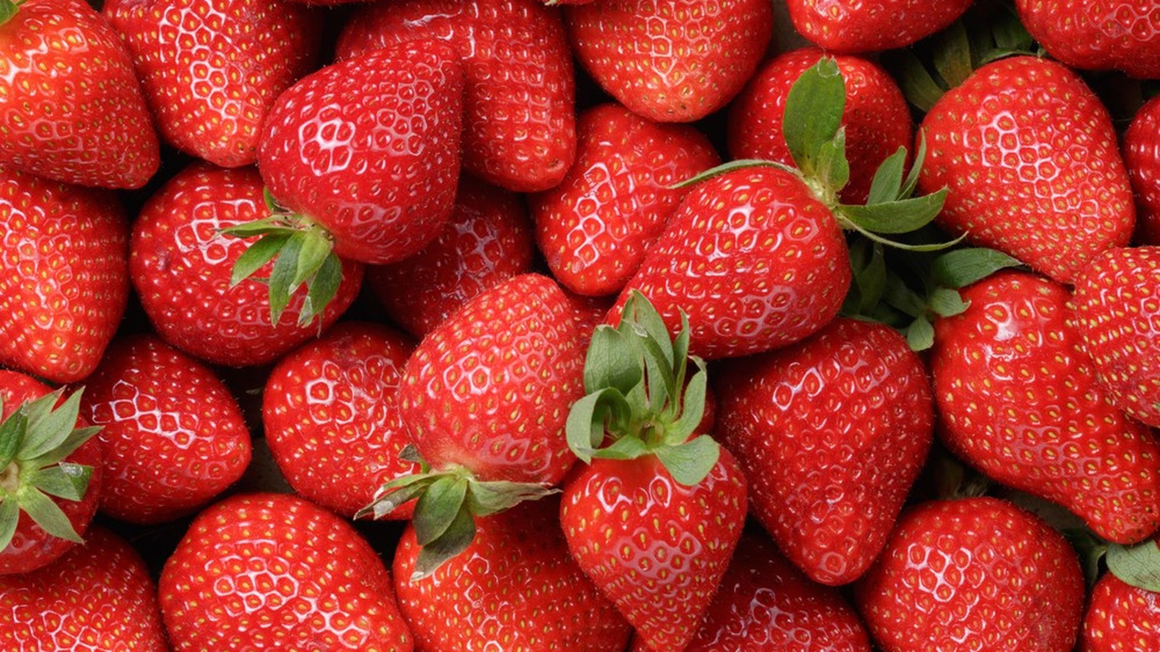 Fragole: tutte le varietà | Agrodolce