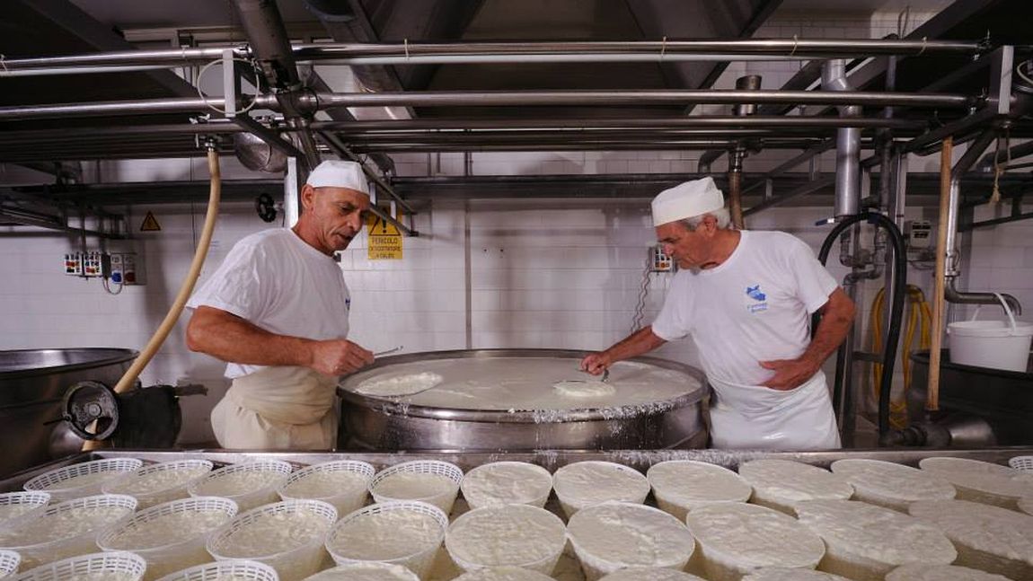 Orgoglio caseario: i formaggi DOP laziali - Agrodolce