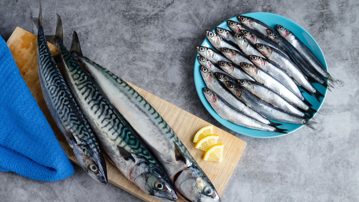 Cosa è il pesce azzurro - benefici. utilizzo e ricette - Agrodolce