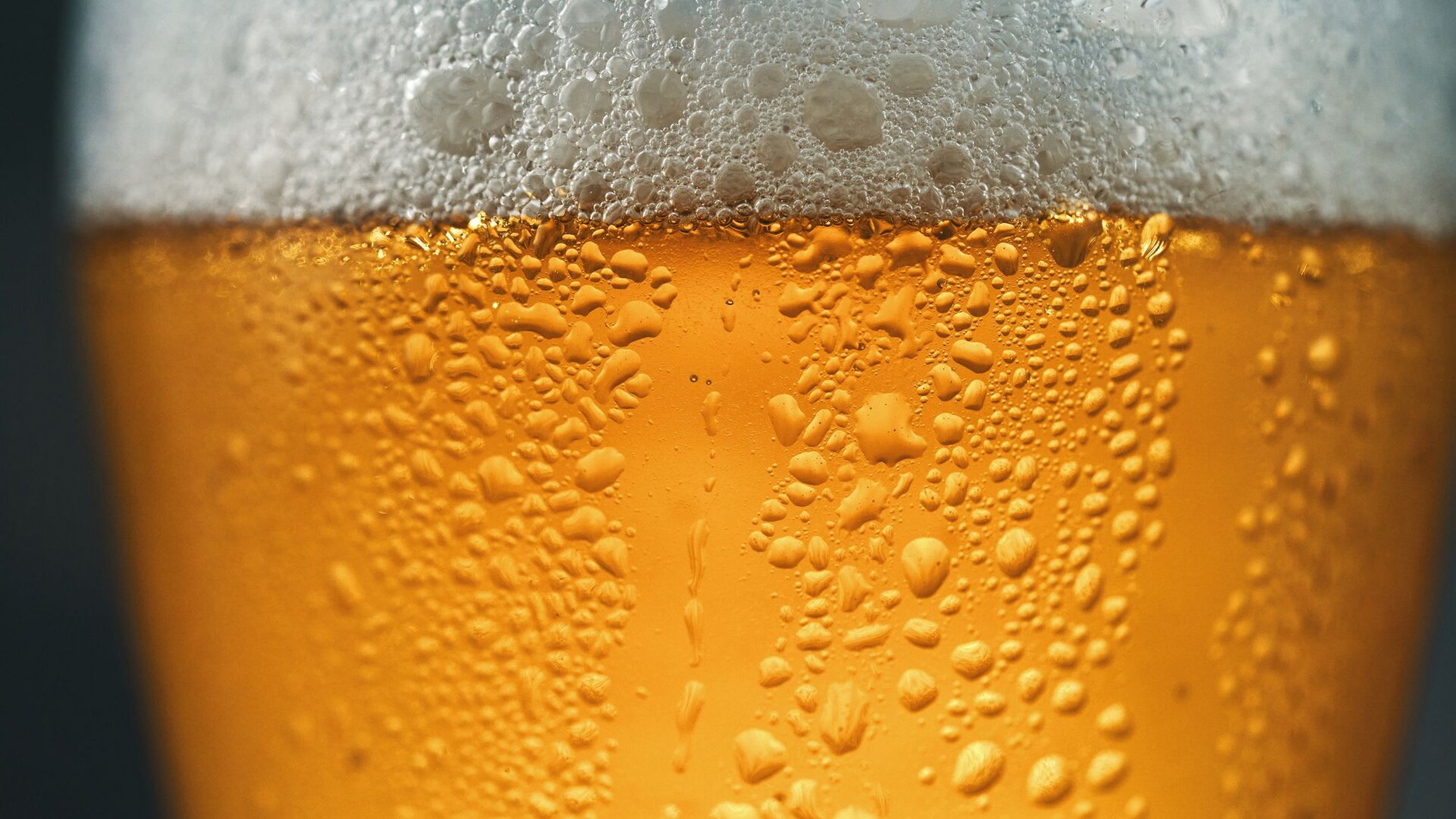 Bere birra fa bene alle ossa (lo dice l'Università di Siena) - Agrodolce
